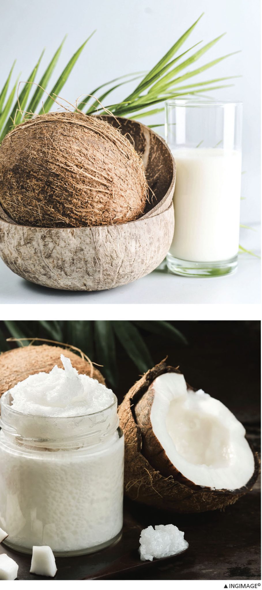 COCONUT INDUSTRY - LMD INTERNATIONAL